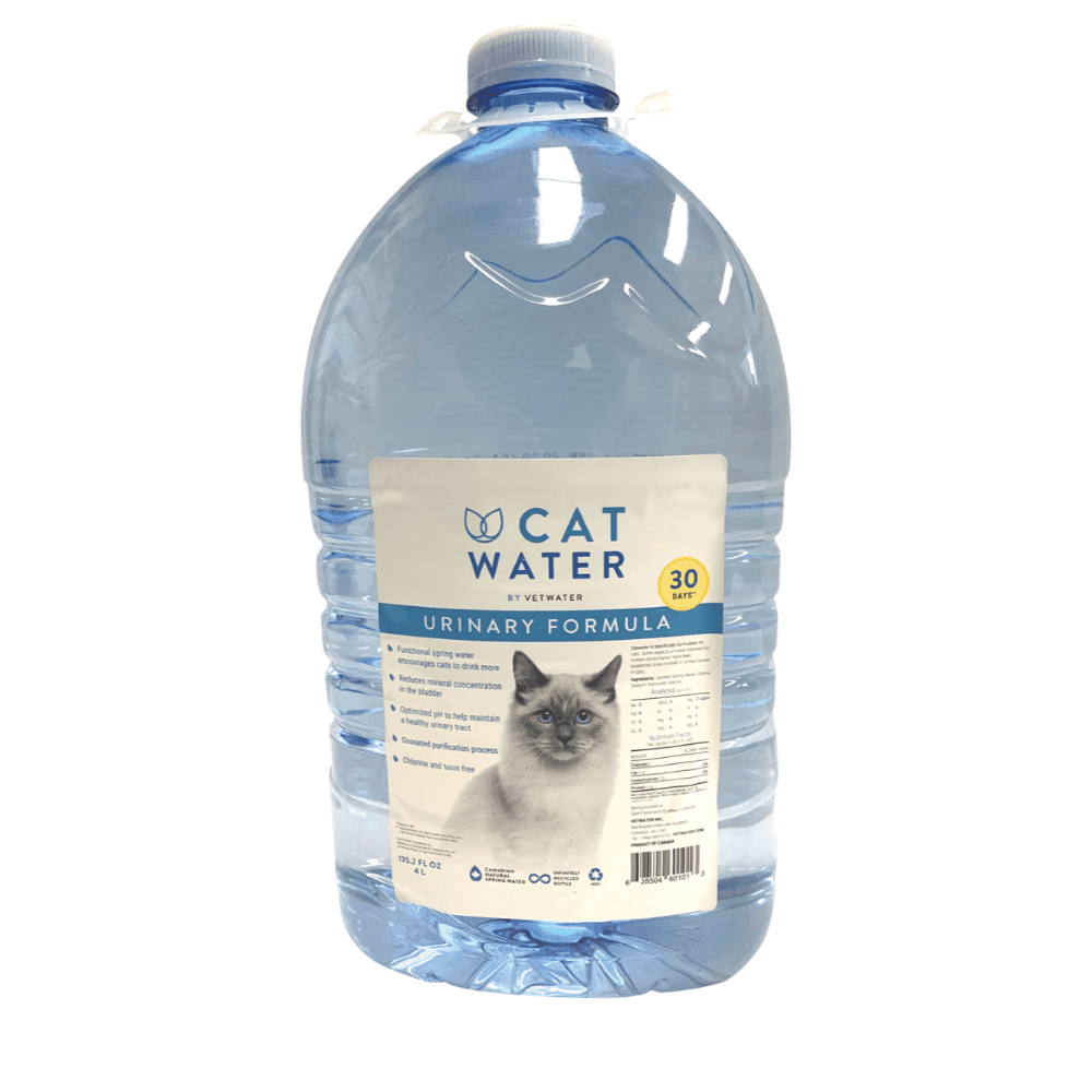CATWATER pH Balanced Urinary Formula By Vetwater For Cats 4L – Sparklet