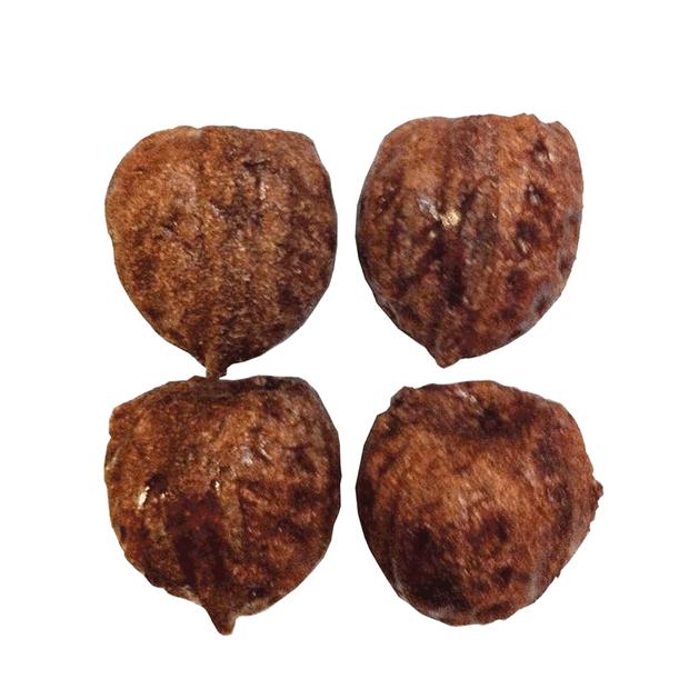Fauna Veggie Patch Edible Walnut Nibblers – Sparklet
