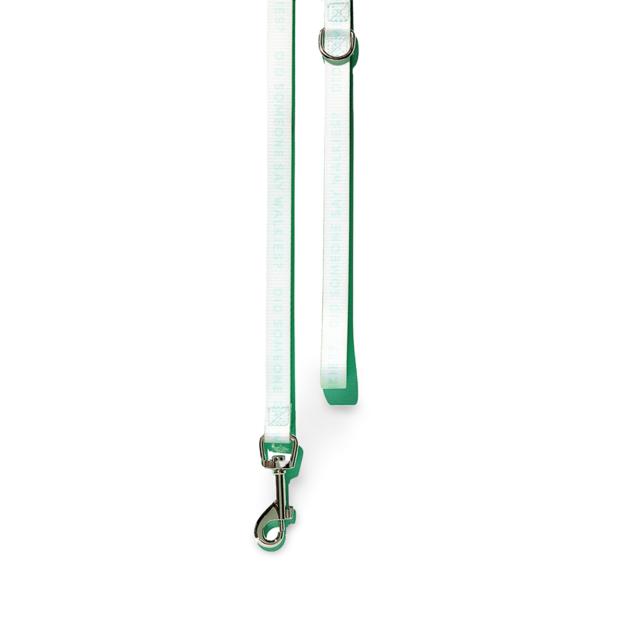 Gummi Slick Dog Lead Mint – Sparklet