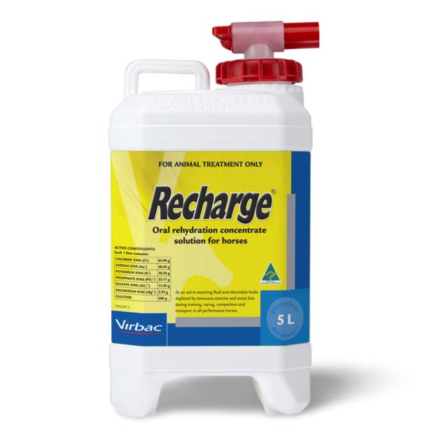 Recharge Horse Rehydration Concentrate – Sparklet